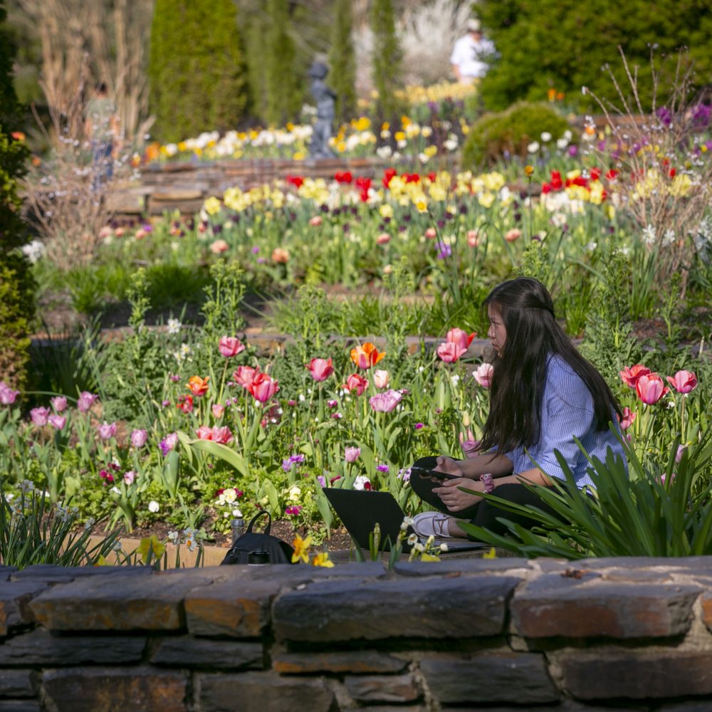 Duke Student Affairs